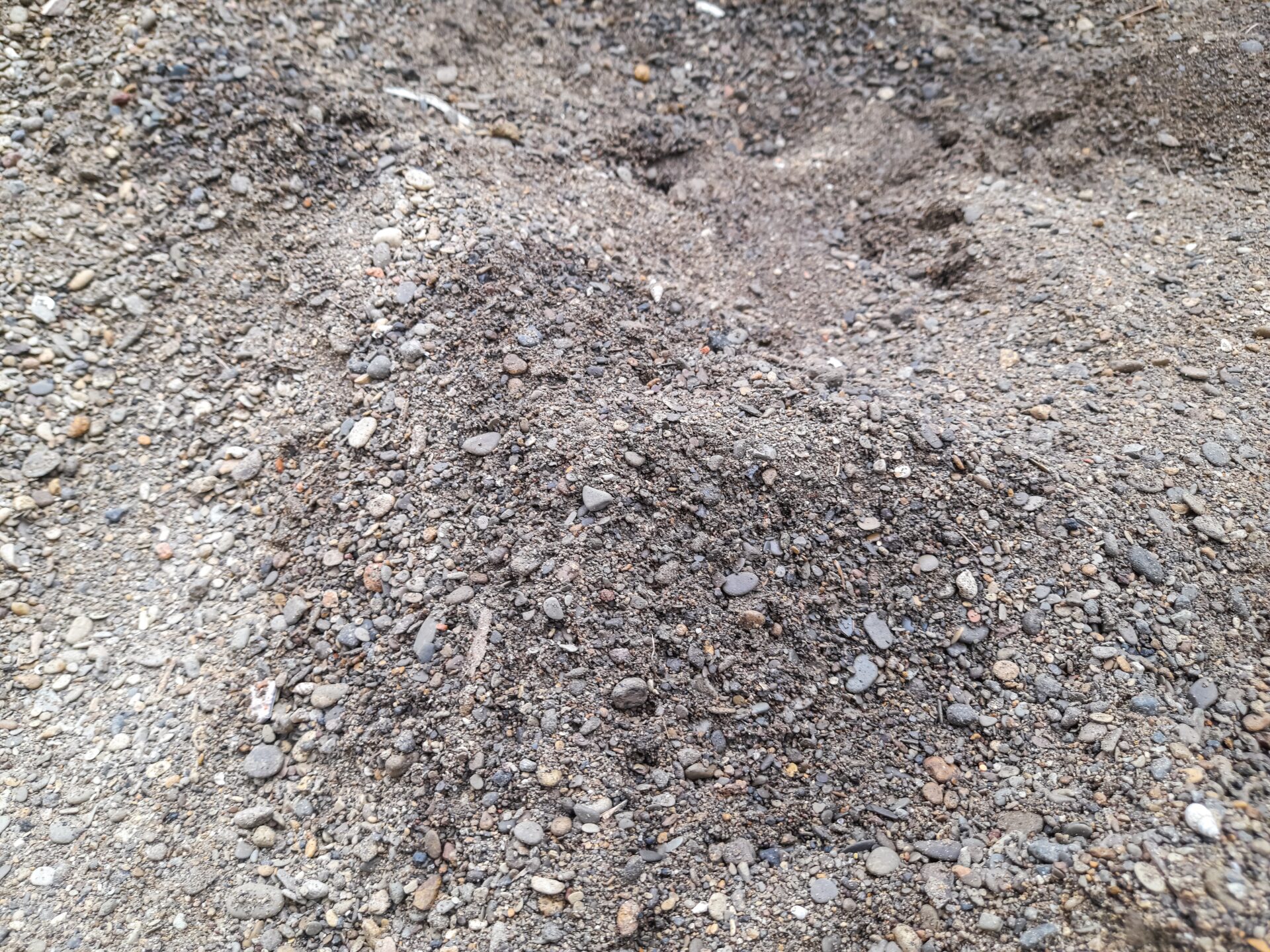 Coarse Sand - BC Crushing & Screening, LLC